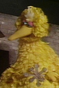 Sesame Street: Season 7, Episode 1 | Rotten Tomatoes