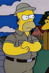 The Simpsons: Season 5, Episode 11 - Rotten Tomatoes