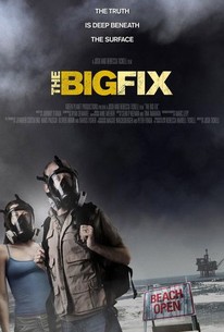 The Big Fix | Rotten Tomatoes