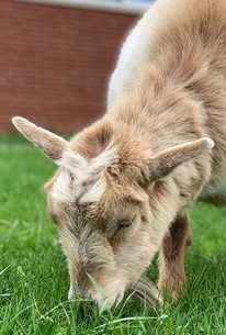 The Incredible Pol Farm: Season 1, Episode 4 | Rotten Tomatoes