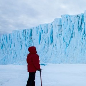 Antarctica: A Year on Ice (2014) - Rotten Tomatoes