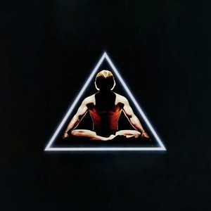 A Force of One - Rotten Tomatoes