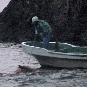 The Cove - Rotten Tomatoes