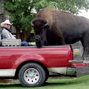 Preposterous Pets - Rotten Tomatoes