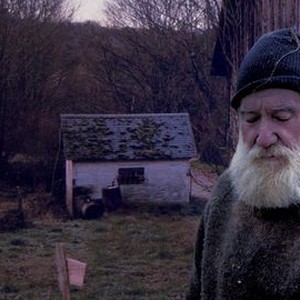 Peter and the Farm - Rotten Tomatoes