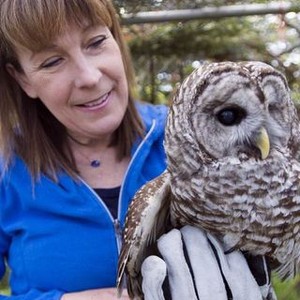 Hope in the Wild: Season 4, Episode 26 - Rotten Tomatoes