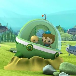 Octonauts: Season 3, Episode 8 - Rotten Tomatoes