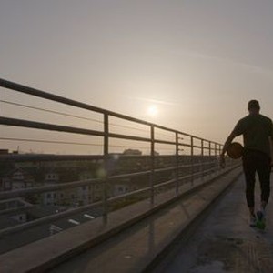 Stand - Rotten Tomatoes