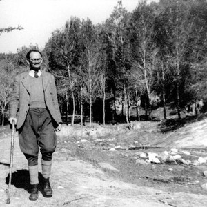 Blue Box - Rotten Tomatoes