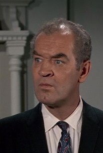 Bewitched: Season 4, Episode 18 | Rotten Tomatoes