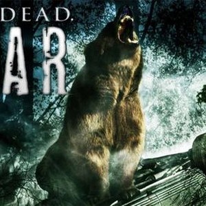 Bear - Rotten Tomatoes