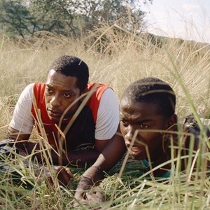 Primeval - Rotten Tomatoes