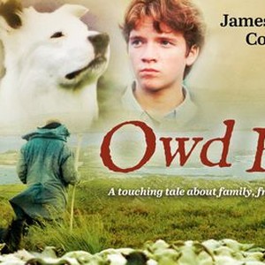 Owd Bob - Rotten Tomatoes