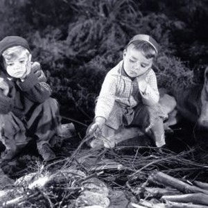 The First Round-Up - Rotten Tomatoes