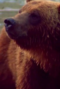 Most Extreme Alien Planet Earth: Season 1, Episode 44 | Rotten Tomatoes