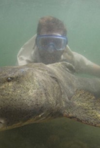 Monster Fish: Season 3, Episode 5 | Rotten Tomatoes