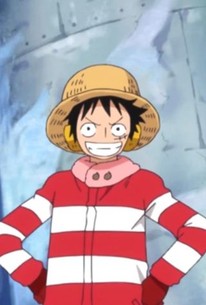 One Piece: Season 16, Episode 16 | Rotten Tomatoes
