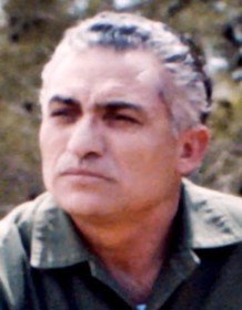 Ali Elayan | Rotten Tomatoes