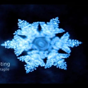 Secret of Water - Rotten Tomatoes