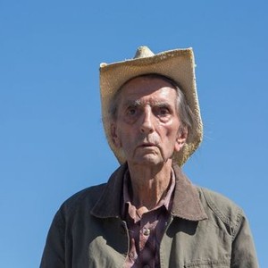 Lucky - Rotten Tomatoes