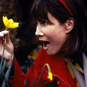 Color Me Perfect - Rotten Tomatoes