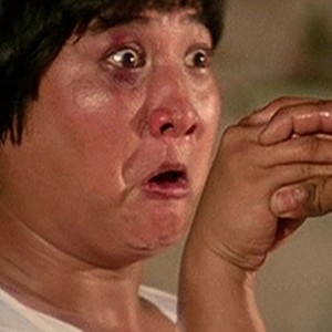 The Magnificent Butcher - Rotten Tomatoes