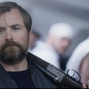 Bull - Rotten Tomatoes