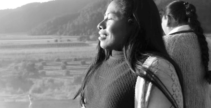 Roma - Rotten Tomatoes