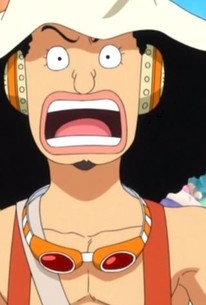 One Piece: Season 15, Episode 13 | Rotten Tomatoes