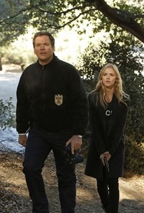 NCIS: Season 11, Episode 12 | Rotten Tomatoes