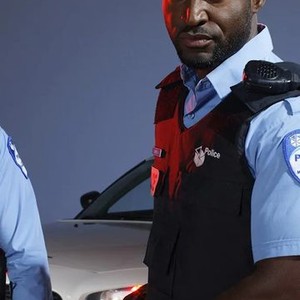 19-2 - Rotten Tomatoes