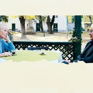 Final Report - Rotten Tomatoes