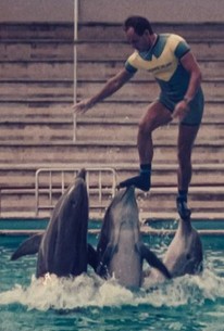 The Last Dolphin King - Rotten Tomatoes