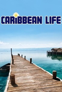 Caribbean Life: Season 8 | Rotten Tomatoes