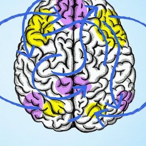 The Mind, Explained - Rotten Tomatoes