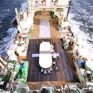 Drawing Restraint 9 - Rotten Tomatoes