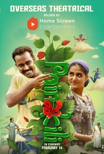 Painkili | Rotten Tomatoes