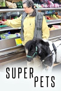 Superpets | Rotten Tomatoes