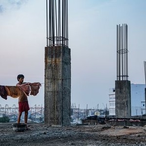 Peacock Lament - Rotten Tomatoes