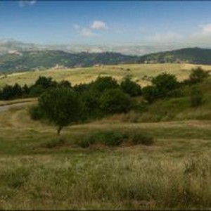 Time Loop - Rotten Tomatoes