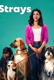 Strays | Rotten Tomatoes