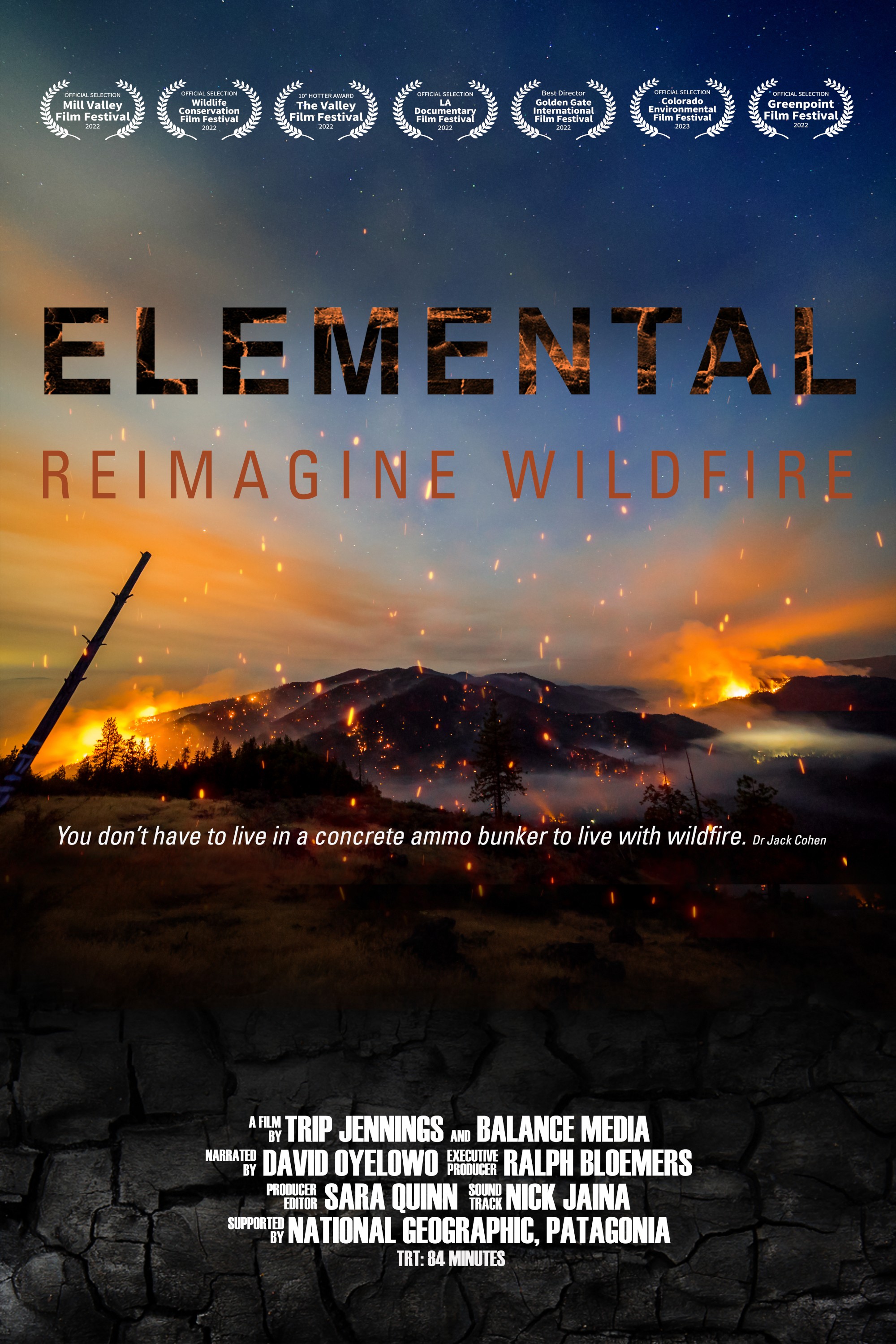 Elemental: Reimagine Wildfire | Rotten Tomatoes