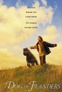 A Dog of Flanders | Rotten Tomatoes