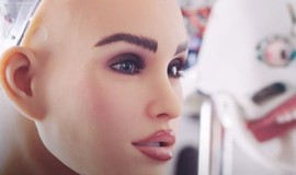 Machine - Rotten Tomatoes