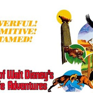The Best of Walt Disney's True-Life Adventures - Rotten Tomatoes
