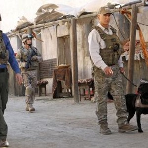 NCIS: Season 10, Episode 18 - Rotten Tomatoes