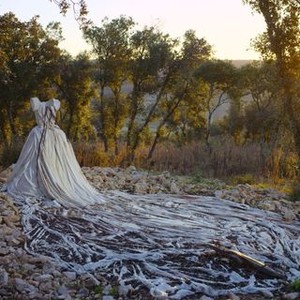 Anselm - Rotten Tomatoes