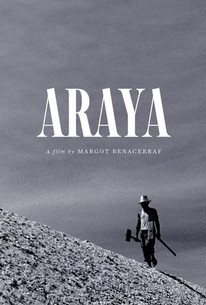Araya | Rotten Tomatoes