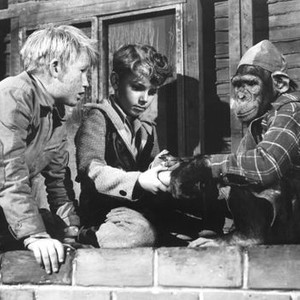 Dale Belding - Rotten Tomatoes