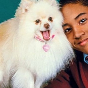 Hounded - Rotten Tomatoes